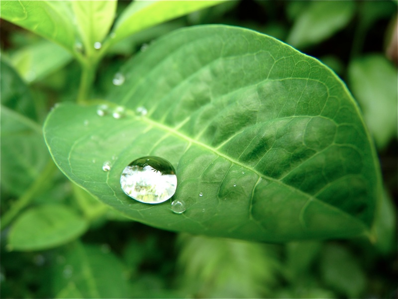 Pieces of Contentment: Raindrops and Treasures