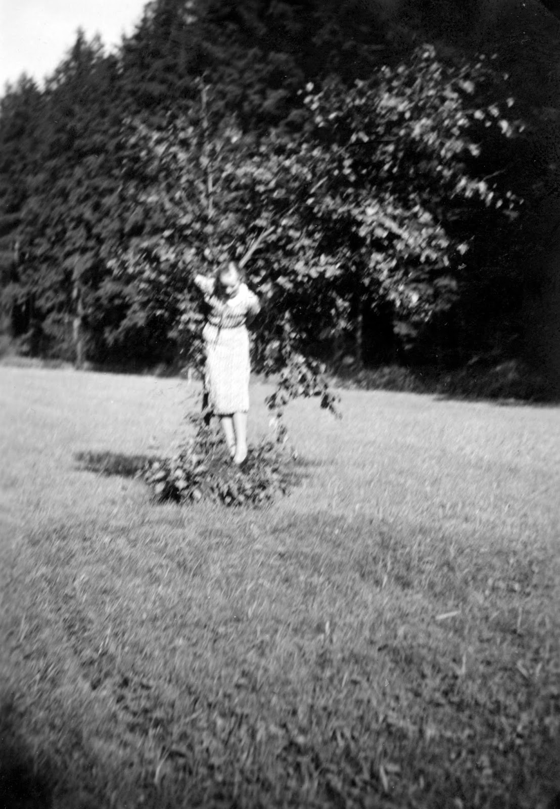 52 Vintage Snapshots Capture Young Women Jauntily Posing in Trees From ...
