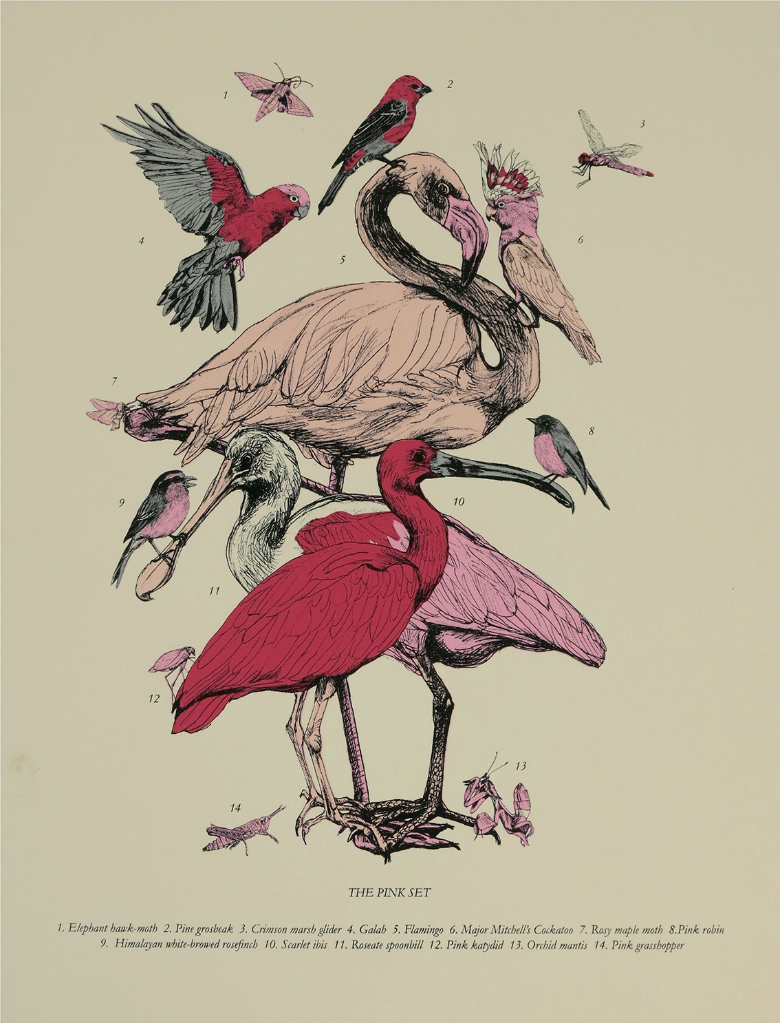 The Pink Set Screen Print – Anna Walsh