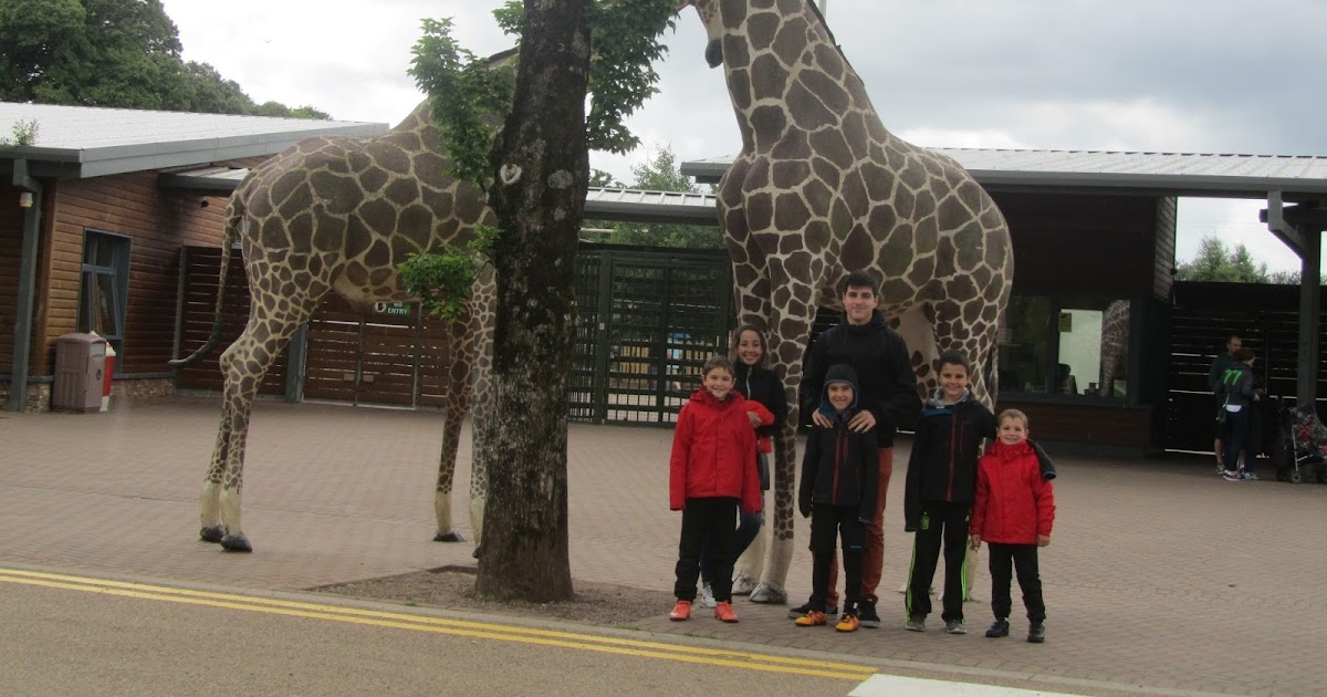 EXPAT WITH KIDS IN DUBLIN : Visiting Fota Wildlife Park (co. Cork) with ...
