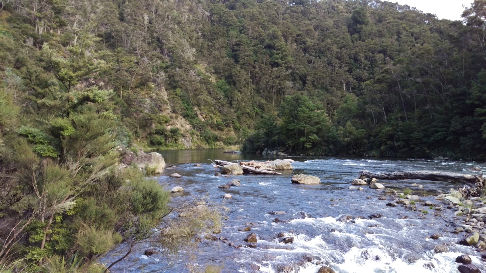 Tramping: Mangatutu Hot Springs Road End Kaweka Trip II