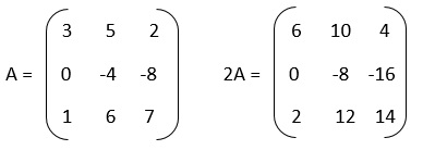 Algebra Lineal: Matriz