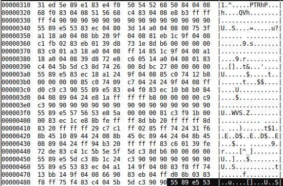 Canberk Bolat Elf File Format Parsing