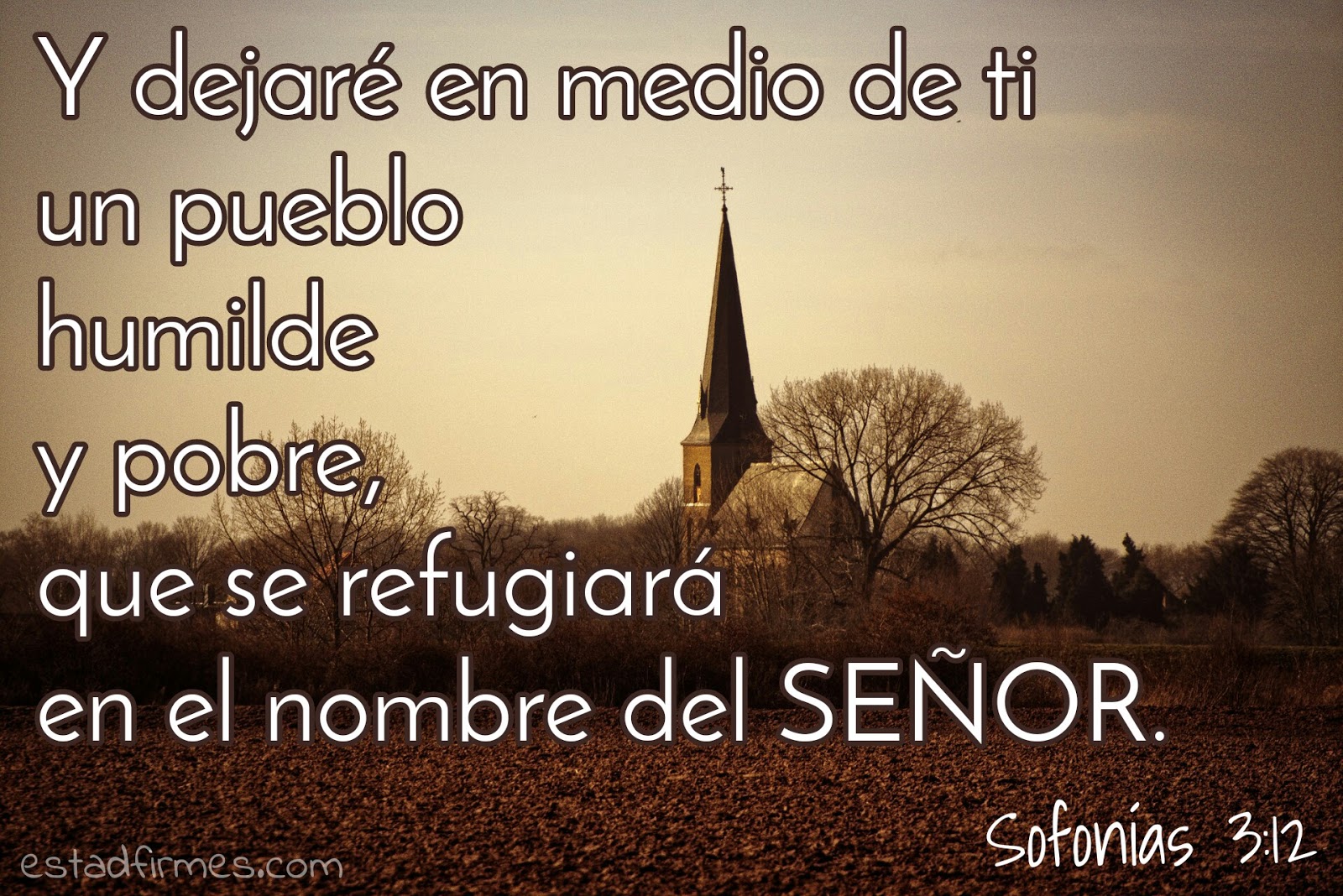 Estad firmes en la fe: En tiempos de apostasía Dios guarda un remanente