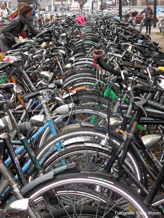 Wandel-, Fiets- en FotografieWeblog: Nederland Fietsland