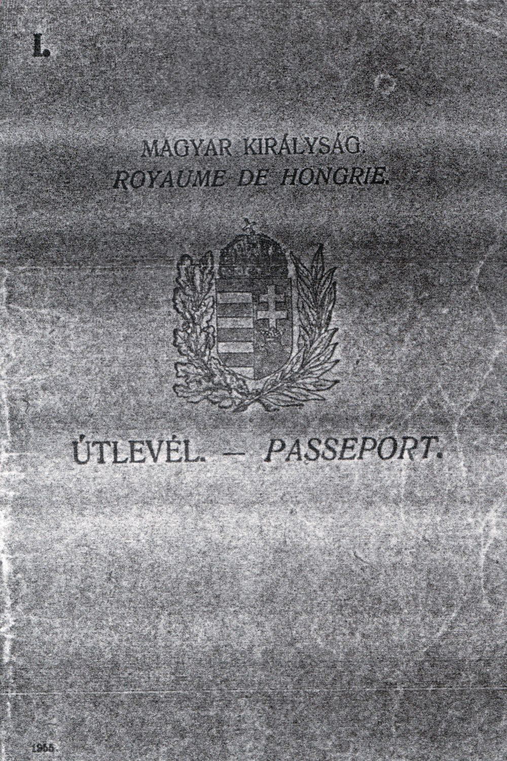 Lara's Jewnealogy: Rutner Family Hungarian Passport