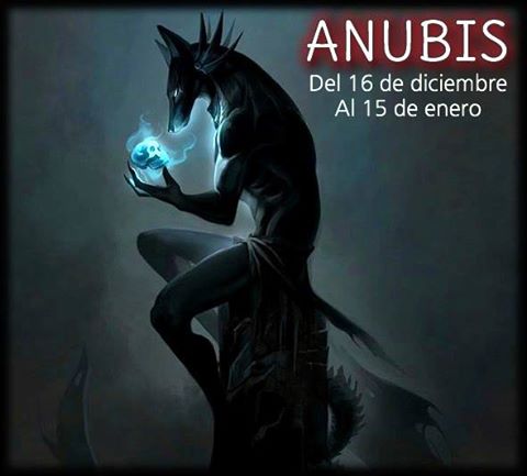 NEGOCIOS Y EDUCACIÓN POR INTERNET: TU ERES HIJO DE ANUBIS
