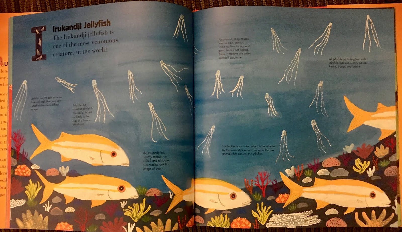 TeacherDance: Non-Fiction Picture Books - New ABCs