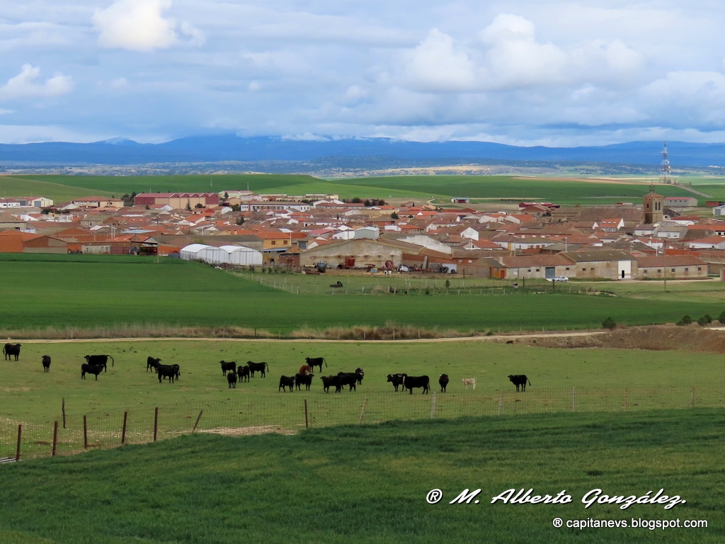 VILLA DE MACOTERA: MACOTERA (Vista de Macotera)