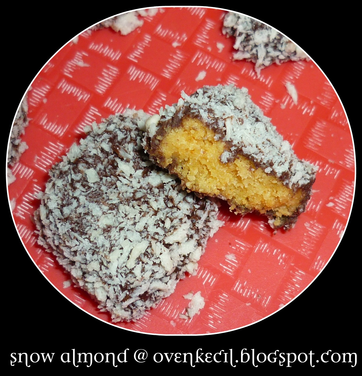 travel tips: SNOW ALMOND