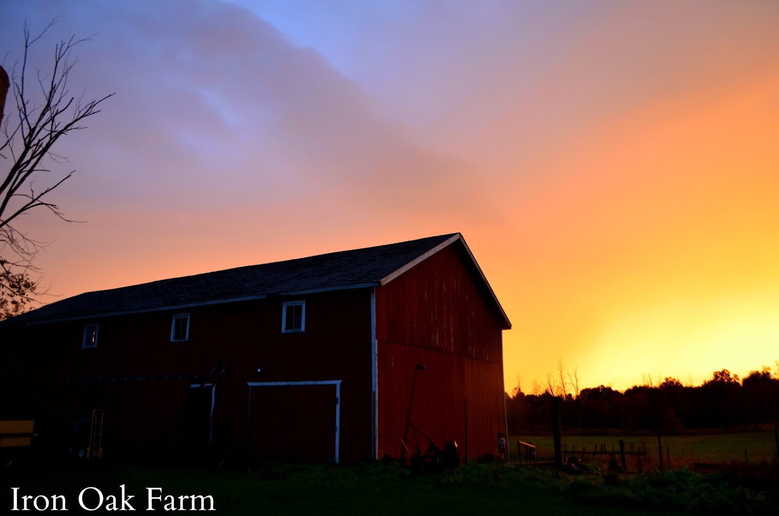 Iron Oak Farm: Heeding the Call of a Historic Structure CC Post