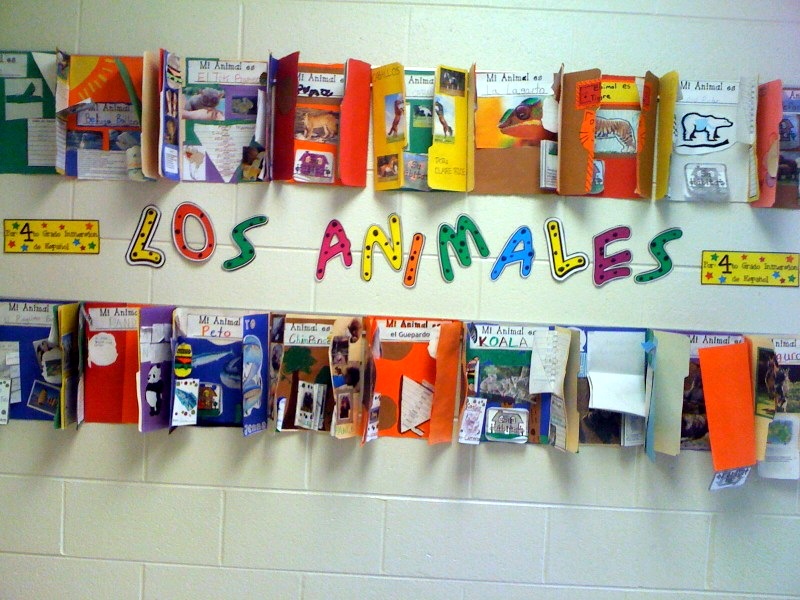 Teacher 2 Teacher: Lapbooking Ideas