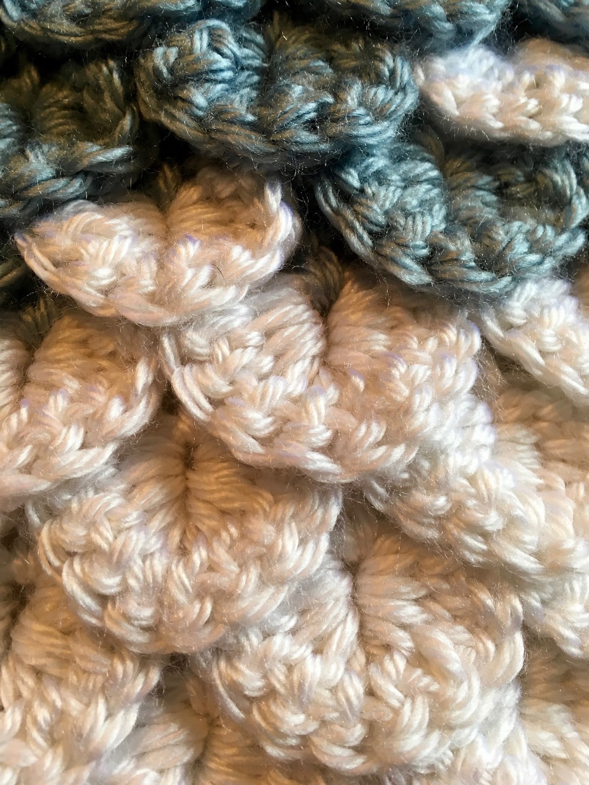 Dragon Scale Blanket Part 1