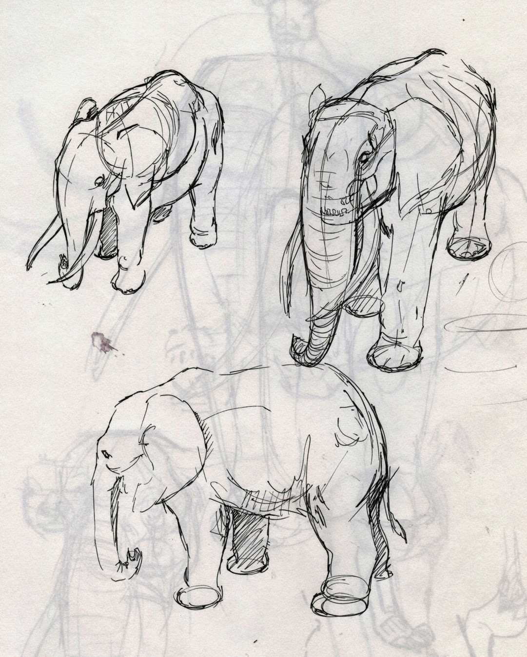 Geoff's Doodles: Joe Weatherly Animal Drawing Workshop - London
