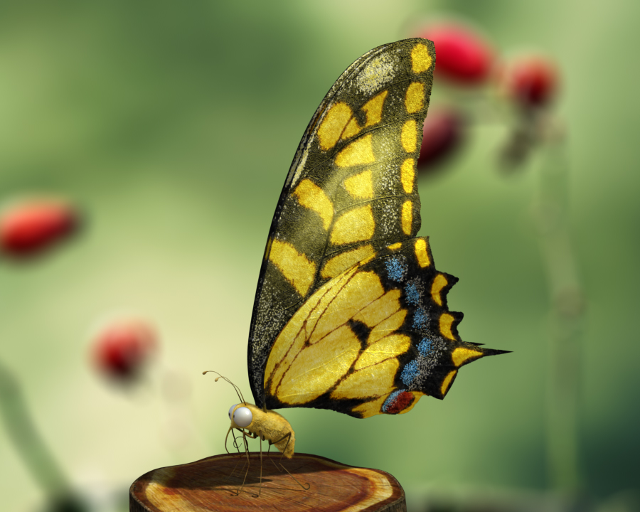 Result, Search, Imagery, Any, Di Google