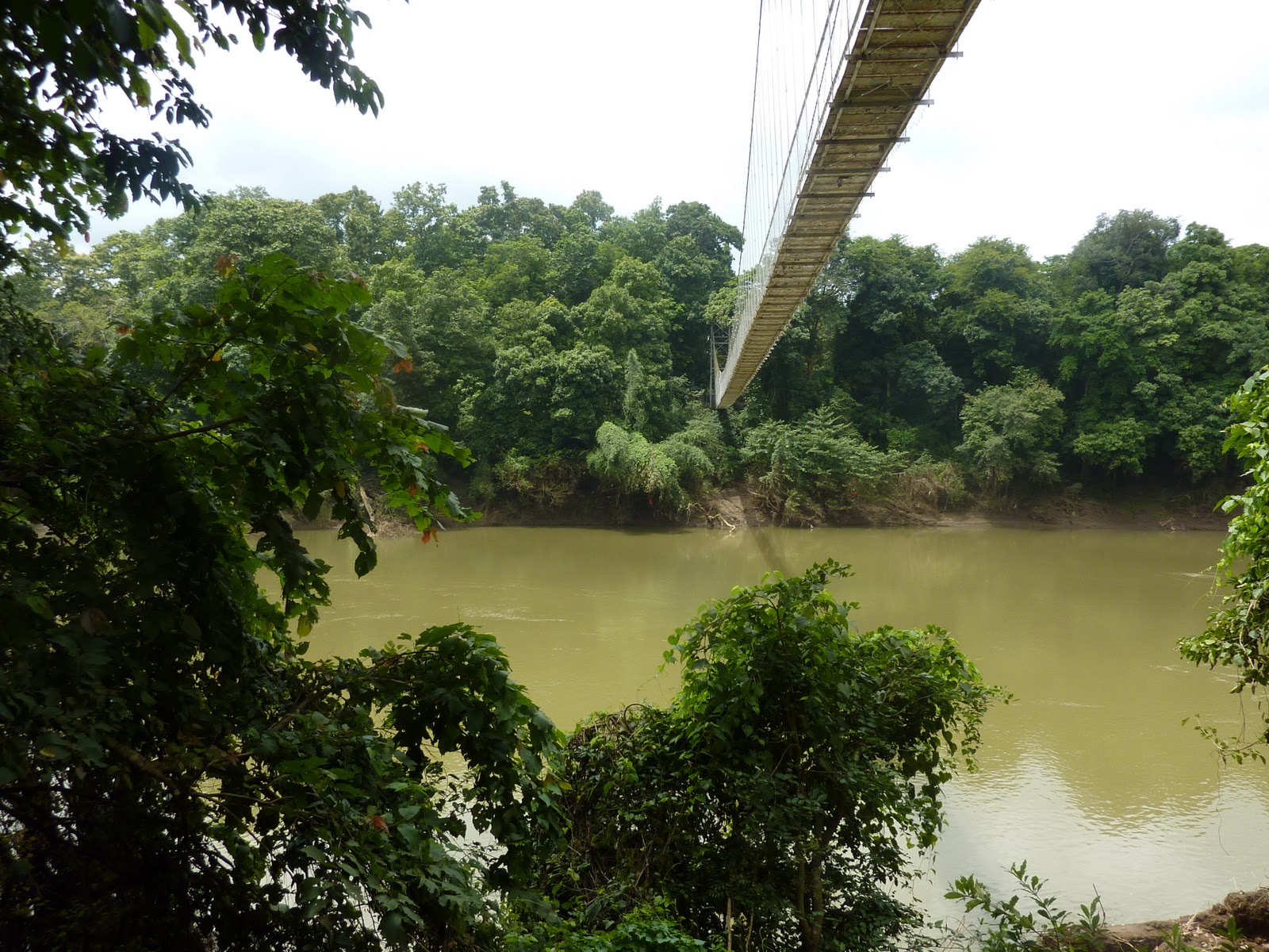 Nilambur Tourism - Eco Tourism Nilambur | Nilambur: Destinations in and ...