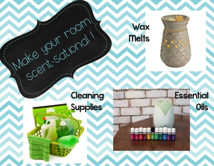 Lodato's Loves: Creating a COZY Classroom