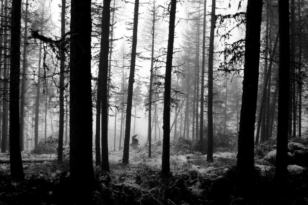 Poogain: SCP Hikayeleri