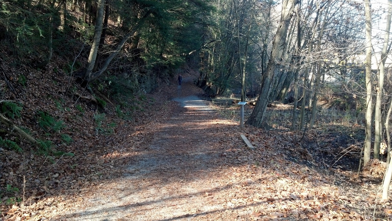 The Burgh's Burn and Brunch: Duff Park and Dick's Diner