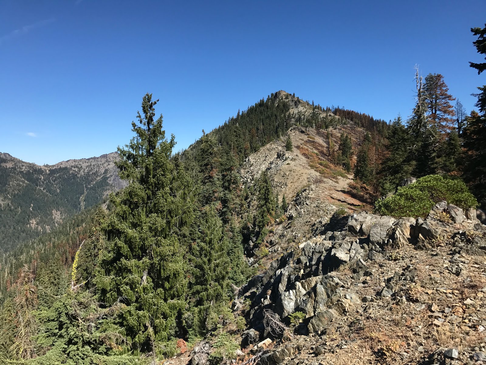 The Siskiyou Crest : 2017 Wallow Fire: Fire Effects in the Marble ...