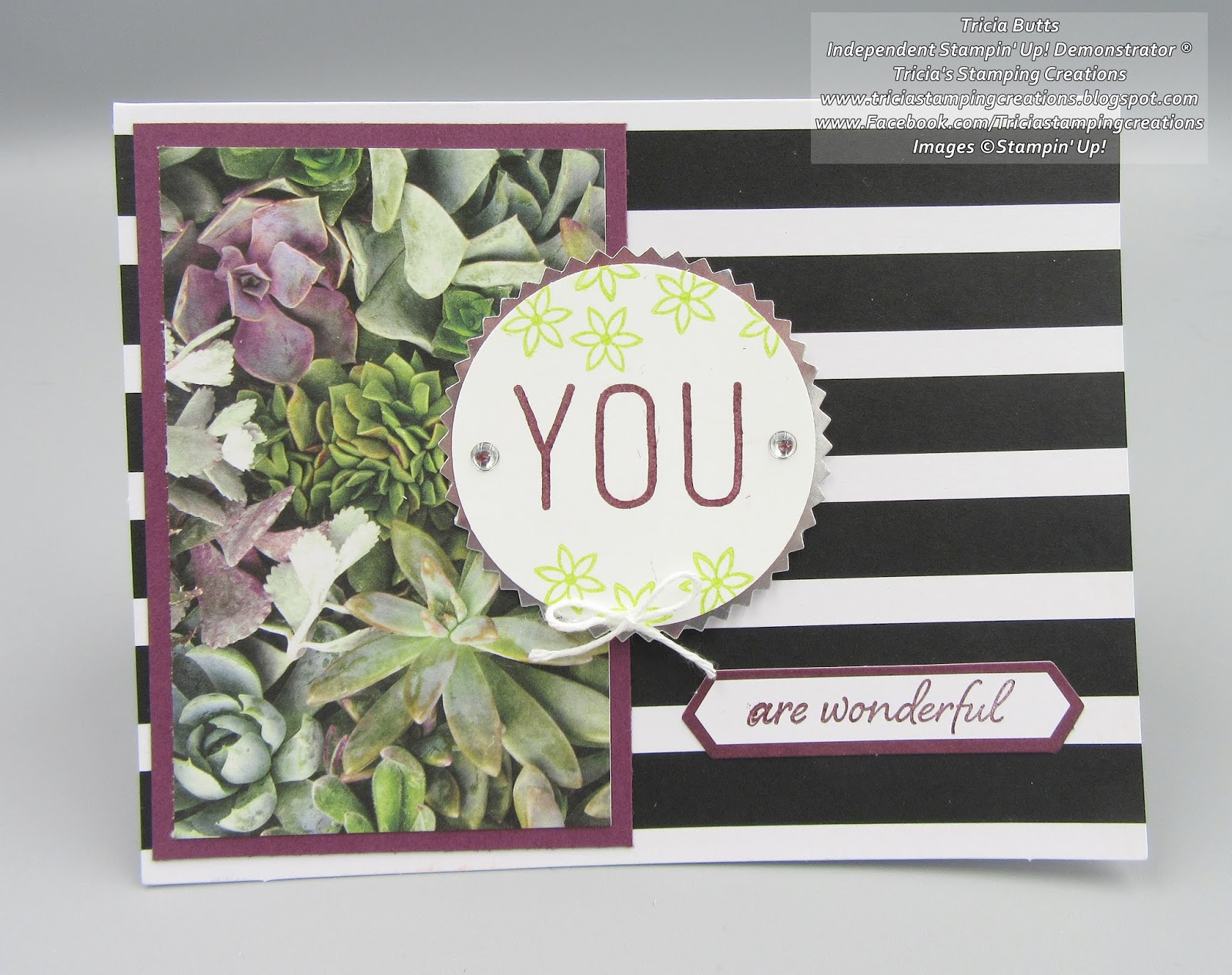 Tricia's Stamping Creations: Paper Pumpkin Pop Up Grown With Kindness ...