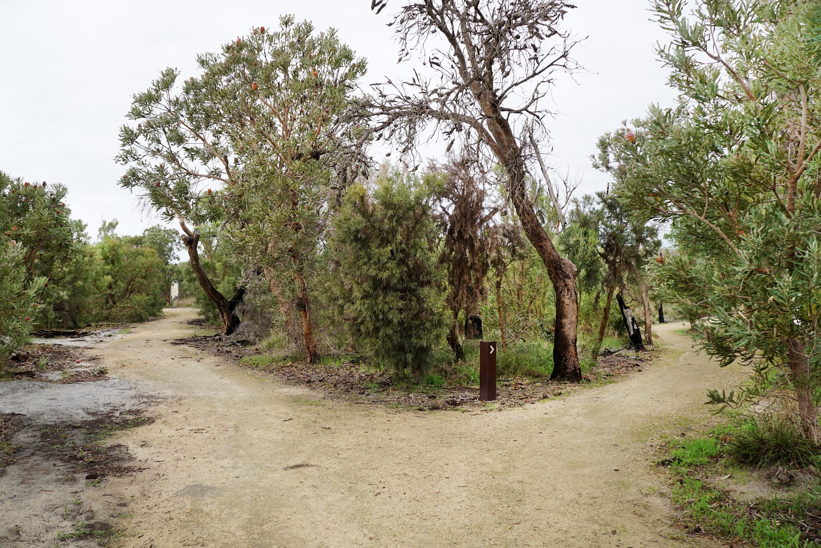 The Spectacles (Beeliar Regional Park) ~ The Long Way's Better