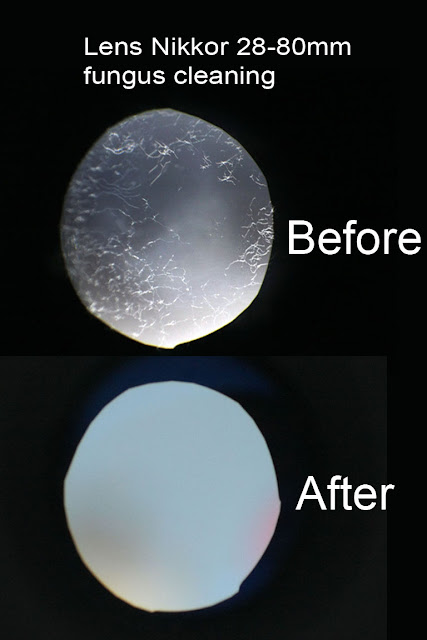 gajet macro: Servis gajet DSLR anda di sini