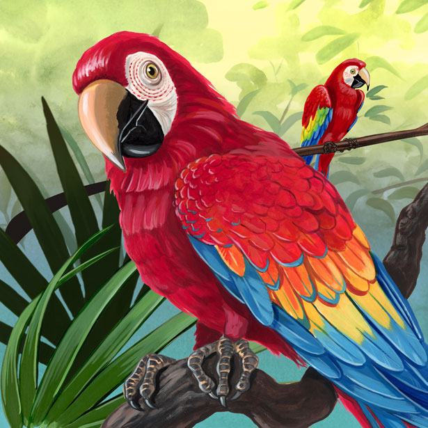 Christina Wald's Design and Illustration Blog: Portfolio: Animals