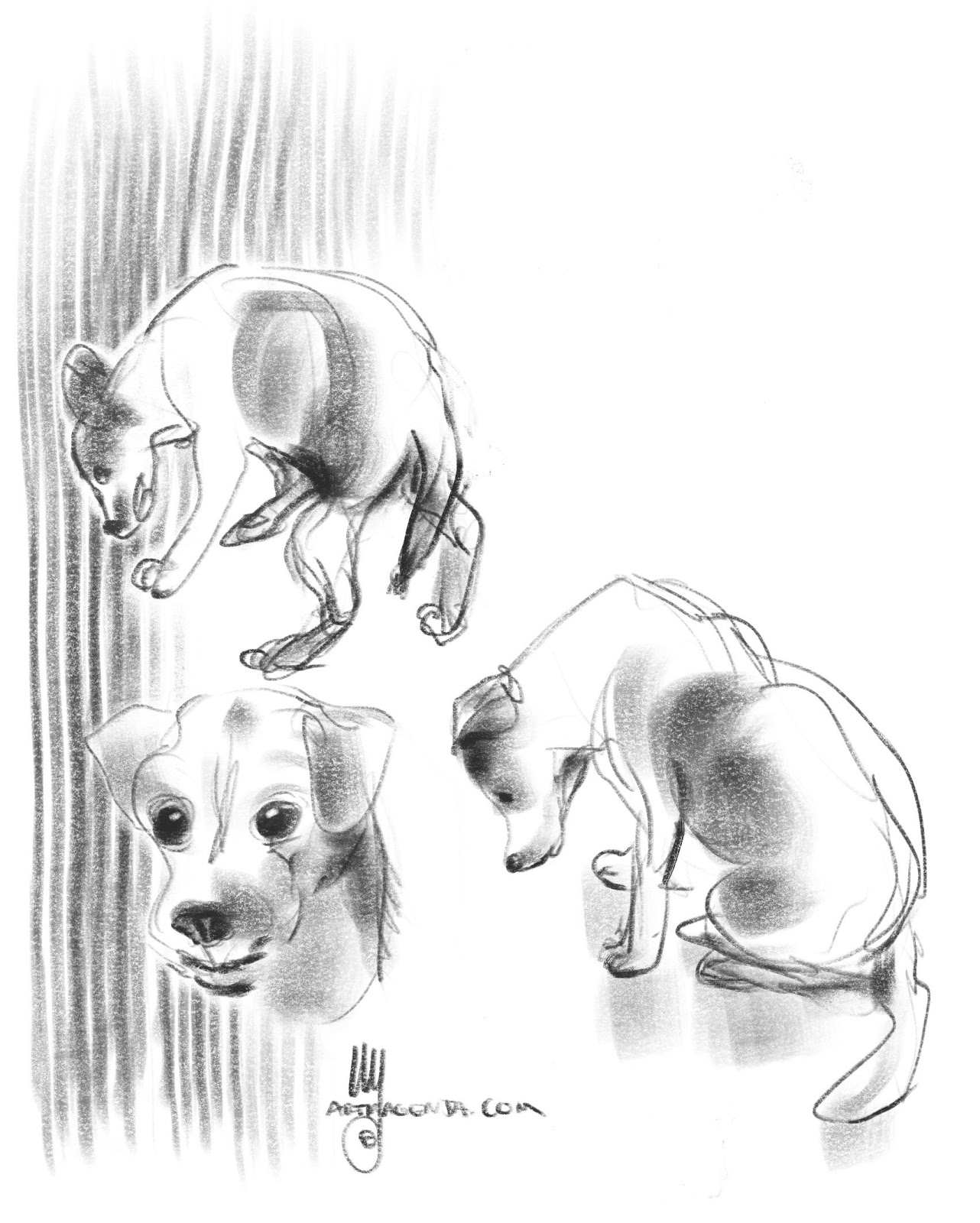 Gesture Drawings: Tyra the dog
