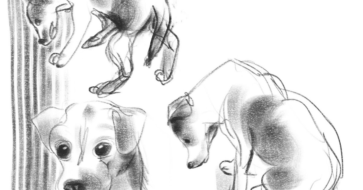 Gesture Drawings: Tyra the dog