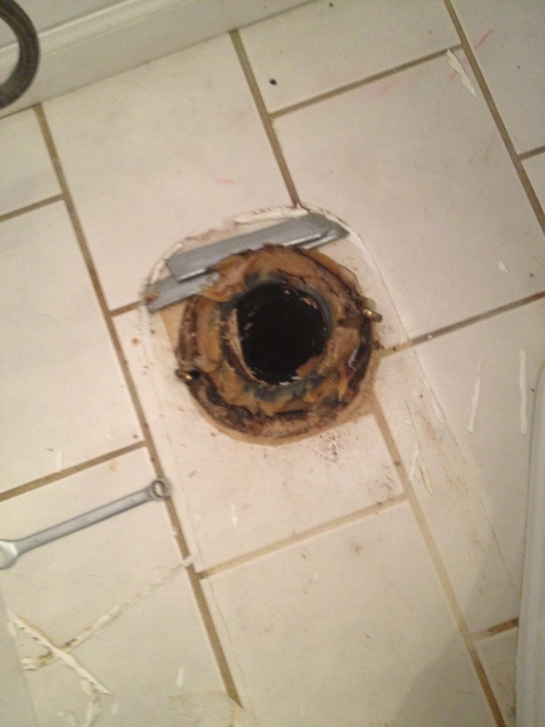 Monty's Average Life: Project: Toilet removal