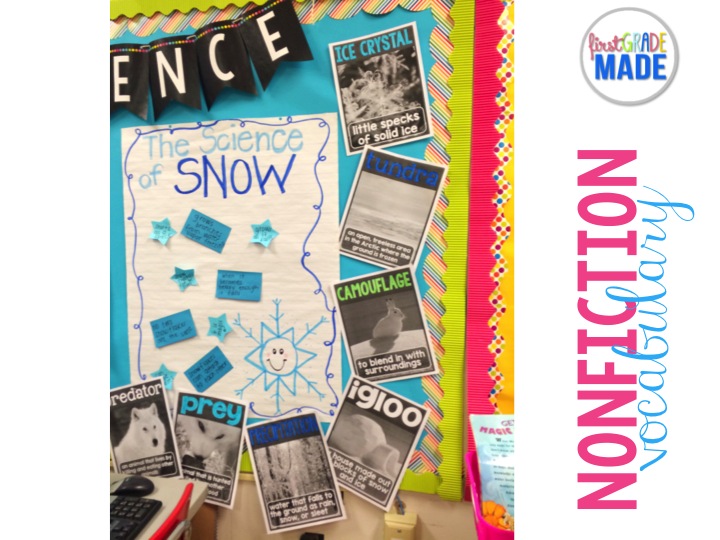 Nonfiction is Snow Much Fun! - jillian laura designs