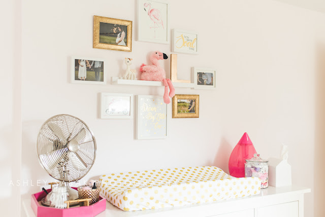 BABY KAUFMAN ADVENTURES: Lola's Flamingo Nursery