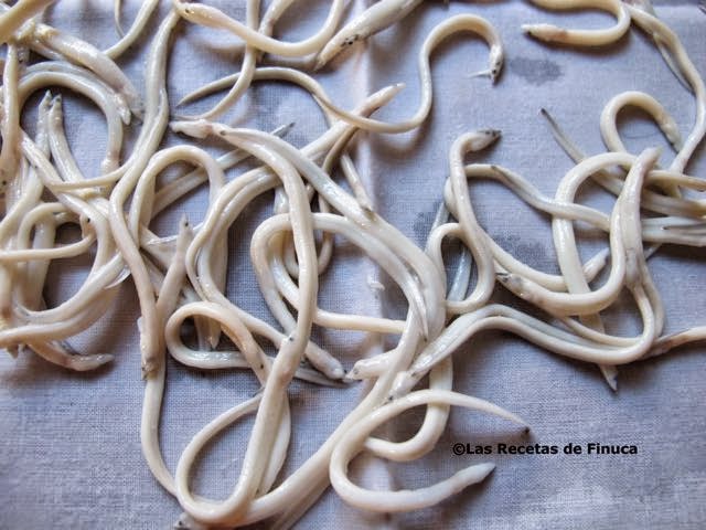Las Recetas de Finuca: Angulas para el Recetario Mañoso