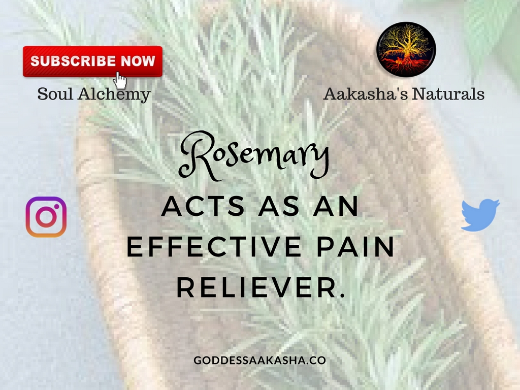 Soul Alchemy: Herbs That Can Cause A Miscarriage; & Those Safe to Take ...