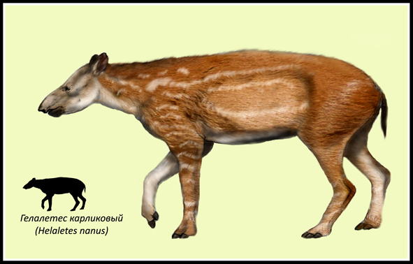 Tunes' wishlist - Page 3 - The ZT2 Round Table