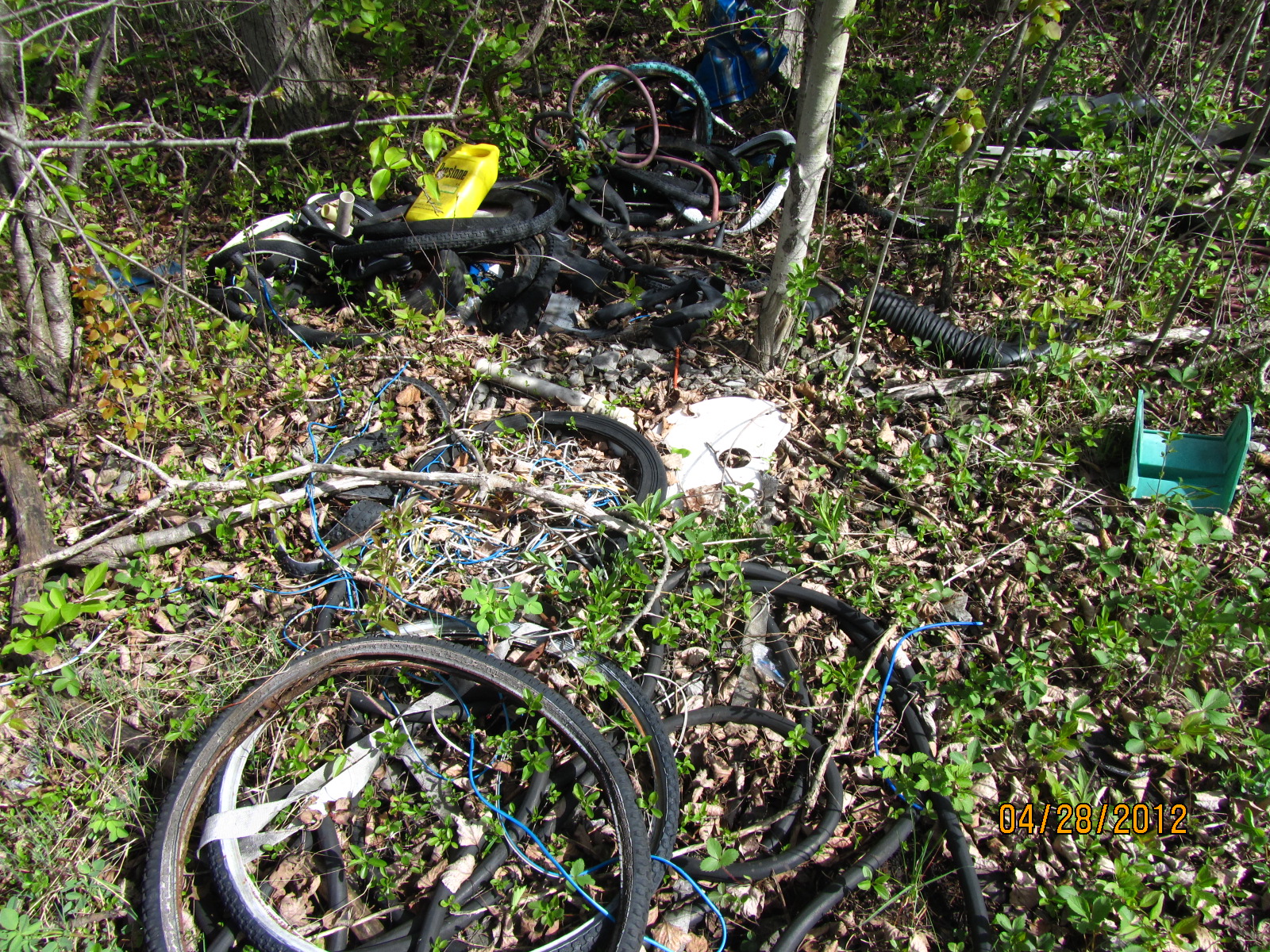C-Span Beautifies Canal Trails with it's Annual Clean Sweep | Wayne ...