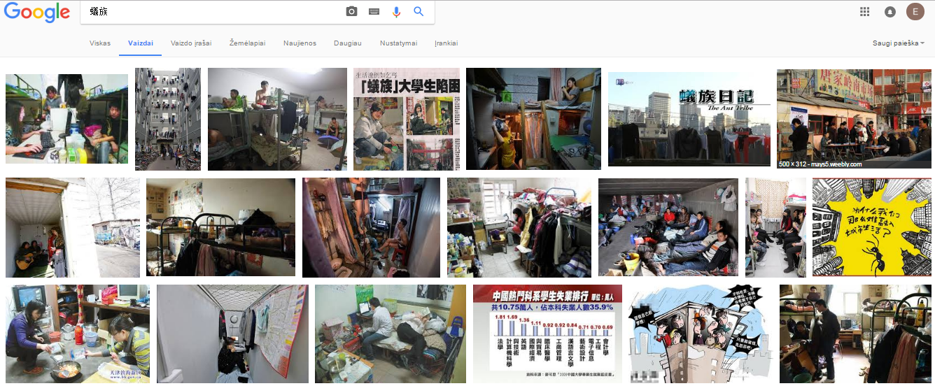 Dėstytojas nuovadoje: Ants and Ant tribe