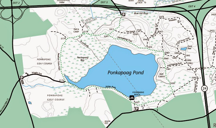 The Nature Playground