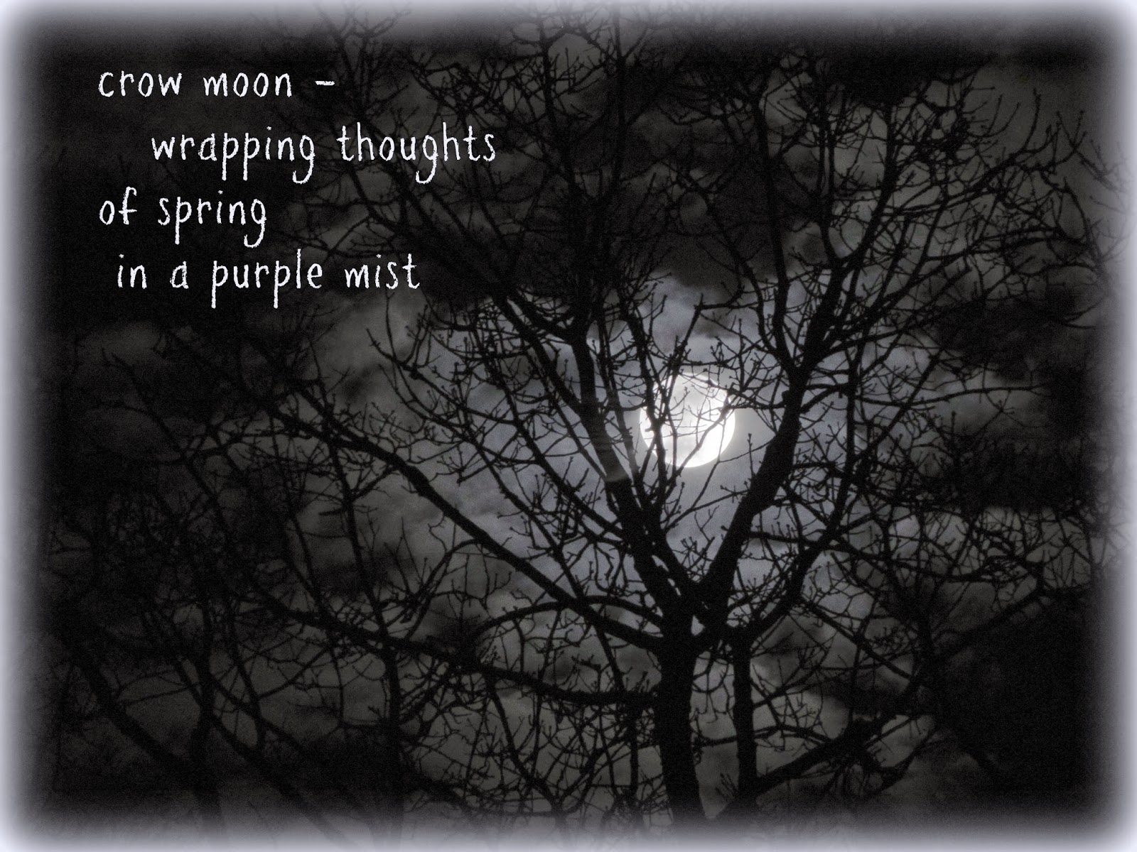 The Healthy Nut: Crow Moon Haiga