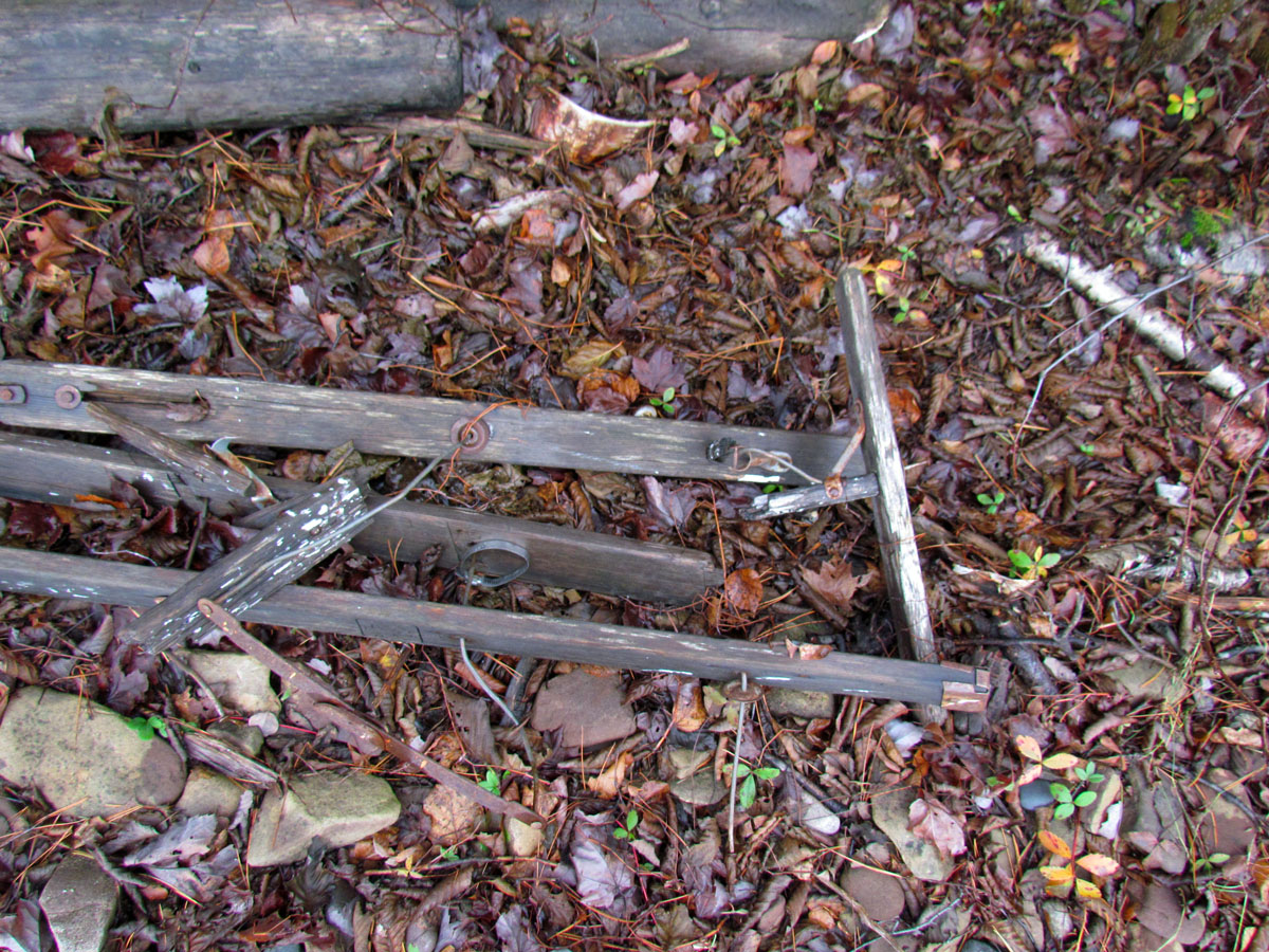 The Agatelady: Adventures and Events: Log Slide Area Hike -- Post 4