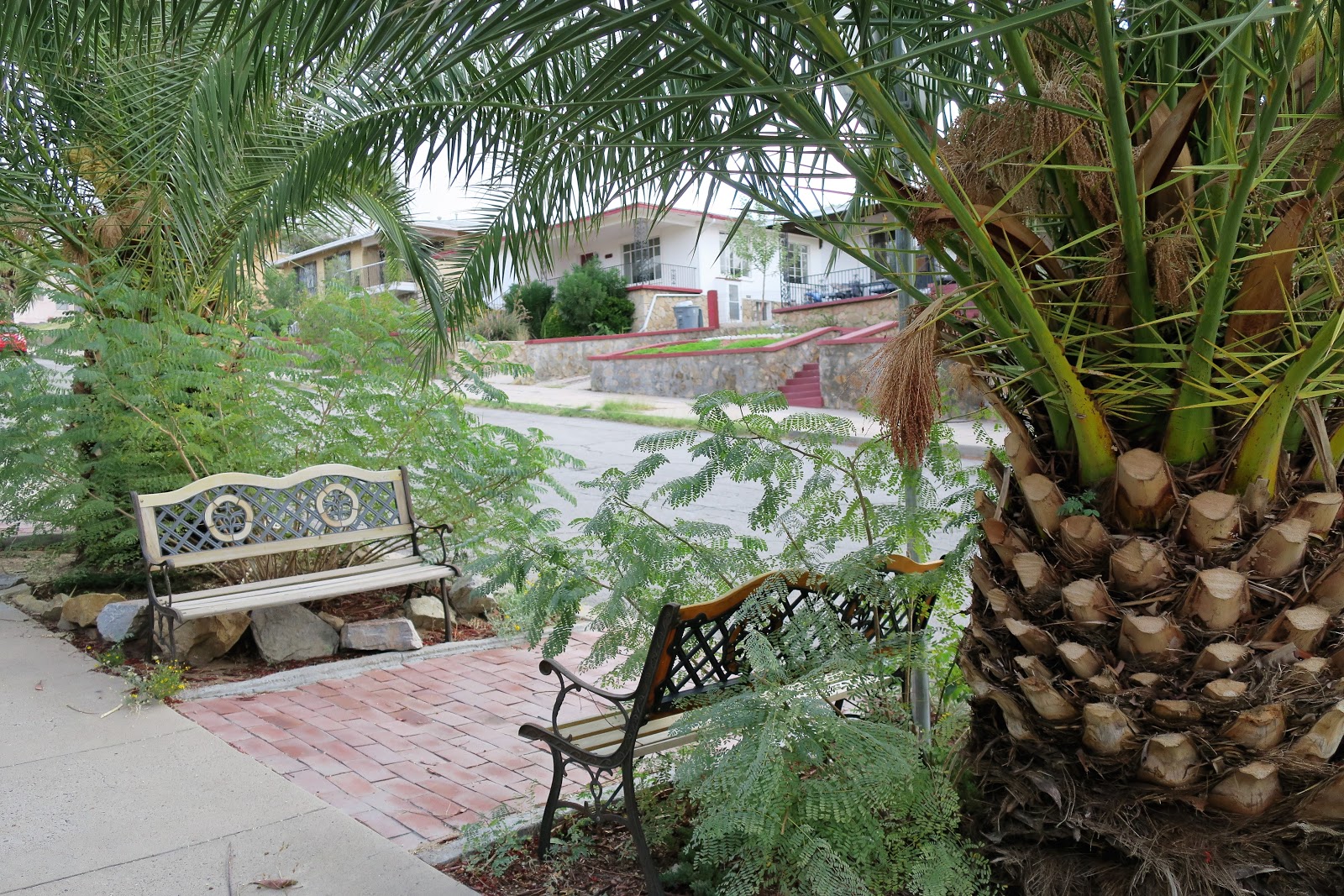 Living Rootless: El Paso: Sunset Heights, Part 1