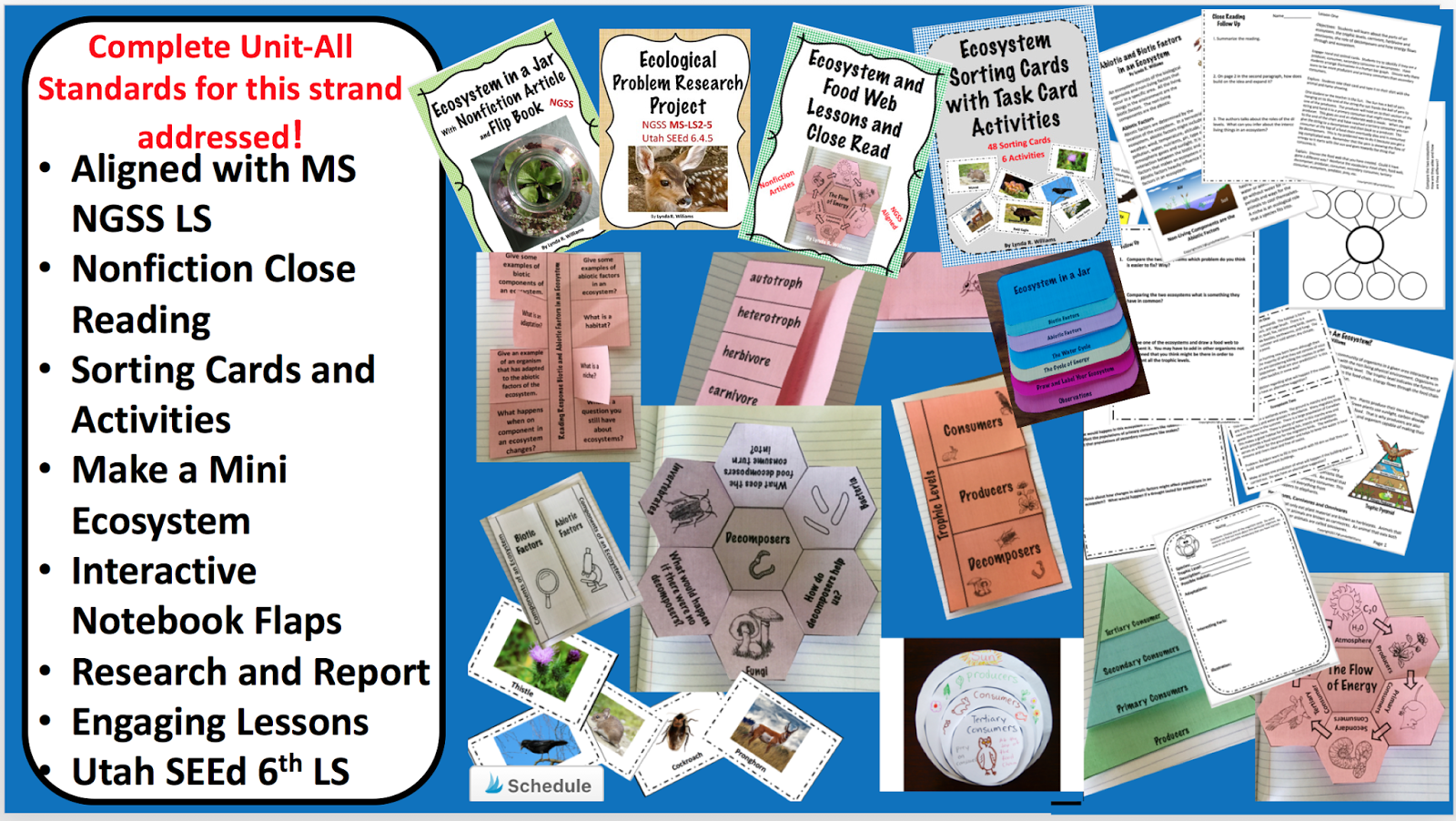Ecosystem and Food Chain Lesson Ideas 5 LS2 and MS LS2 - Teaching ...