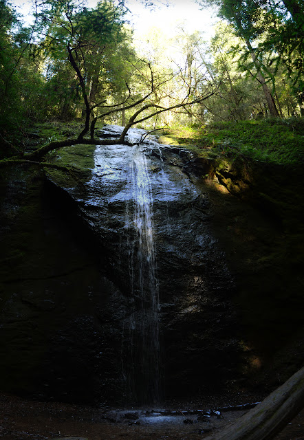 Chamberlain Waterfall Trail