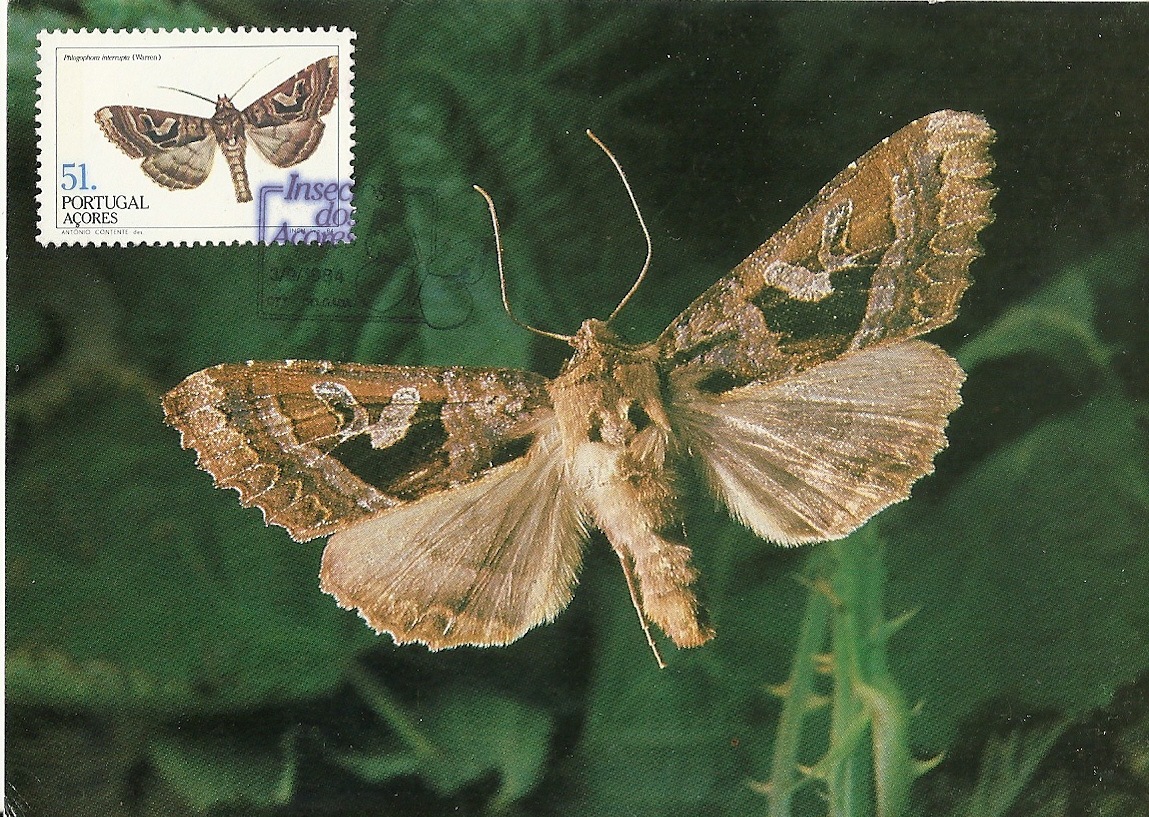 Rui Nogueira Stamps: PORTUGAL - Insects Azores (1st Group)