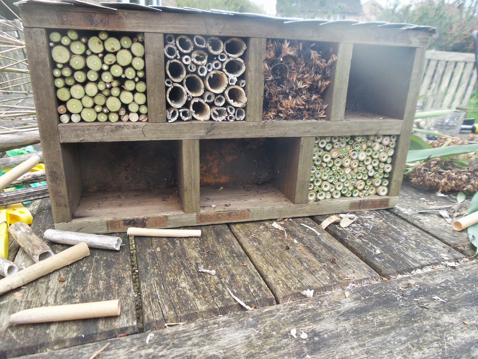 Rounded & Grounded: Bug House