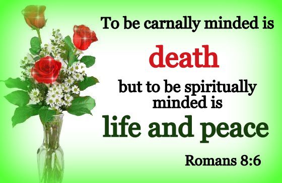 Romans 8 : 6 Bible Verse Wallpaper Romans 8 : 6 Bible Verse Wallpaper