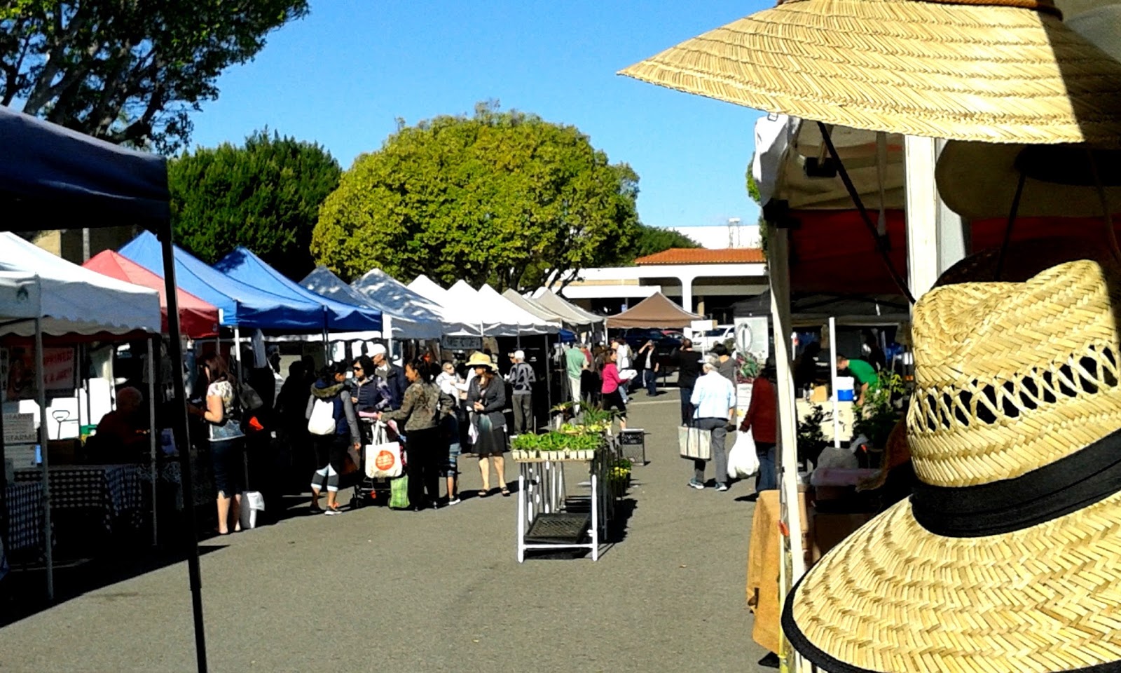Californie en français: Laguna Hills : Picket Lane Bakery