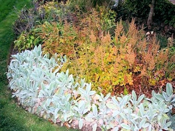 A GUIDE TO NORTHEASTERN GARDENING: The Four Seasons of Gardening-Garden ...