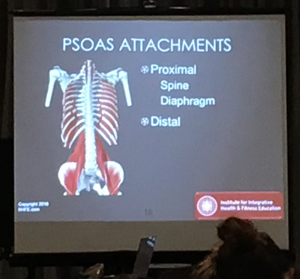 Runnergirl Training: Dr. Evan Osar - Psoas and Glute Strategies